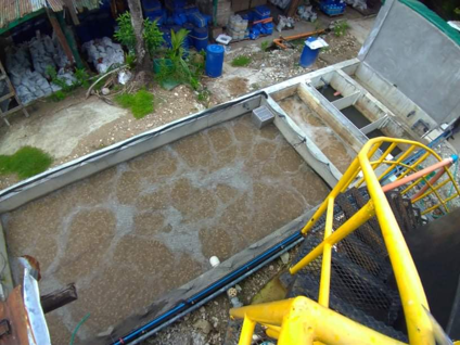 VELFRAM FOODS CORPORATION - Unique Water